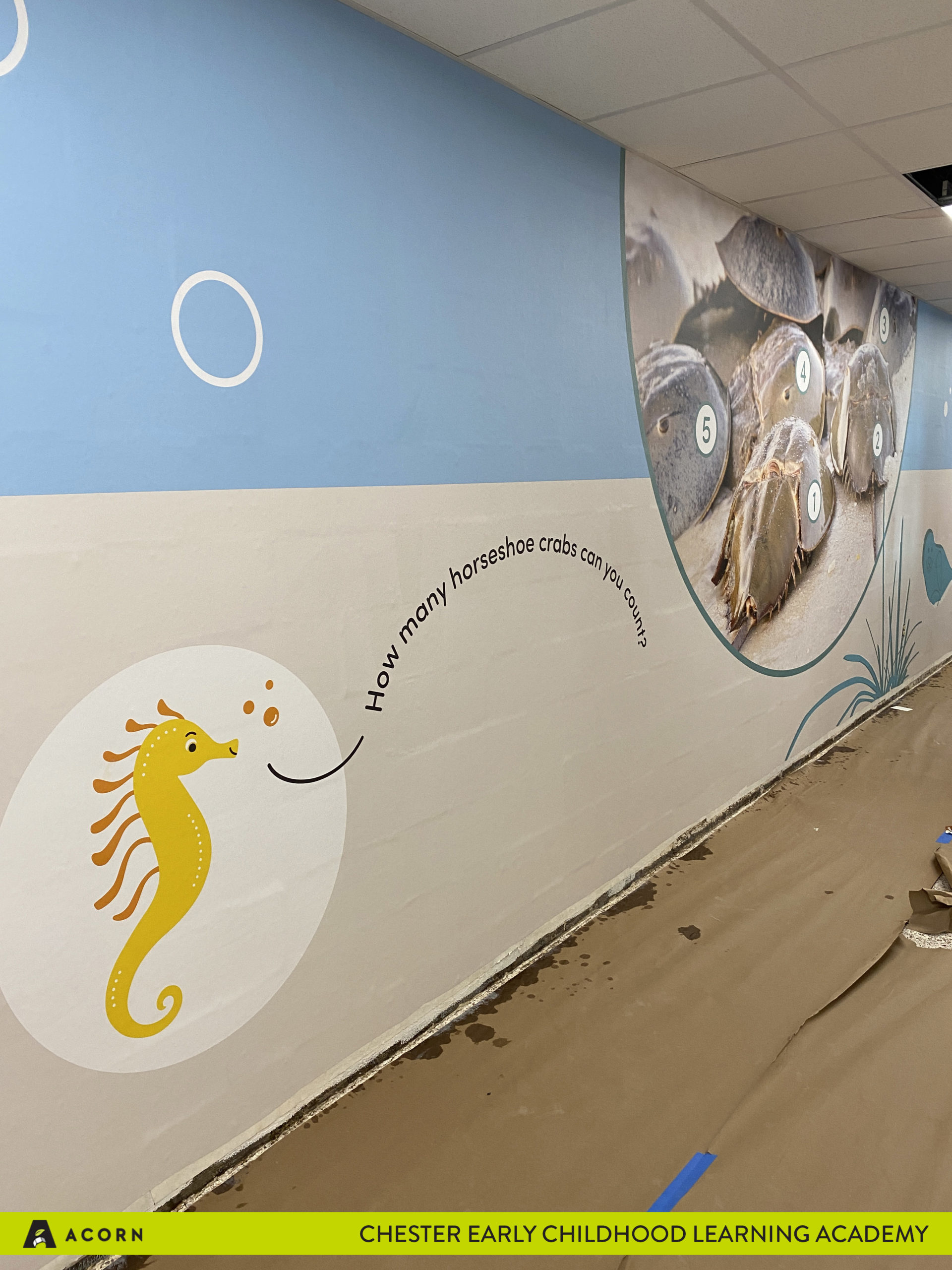 Acorn in Action: Chester Early Childhood Learning Academy - Acorn Sign